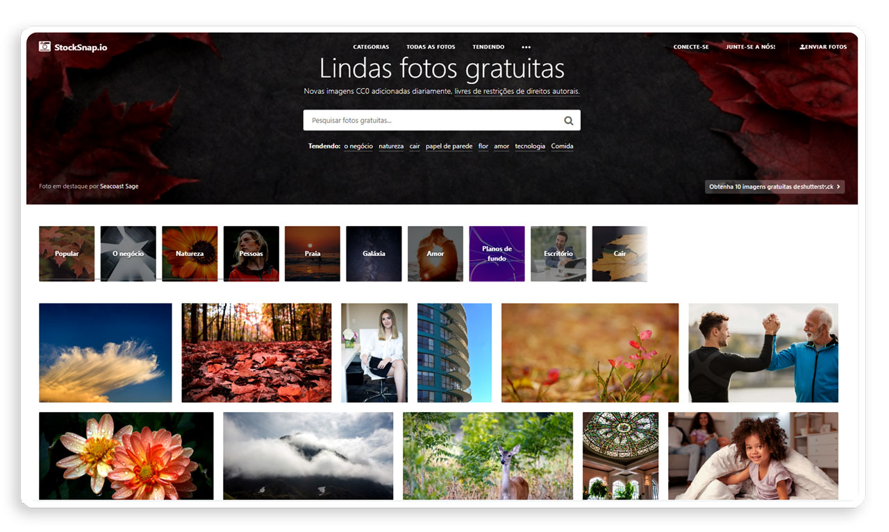 Bancos de imagens gratuitos. Sites para Baixar Imagens Grátis